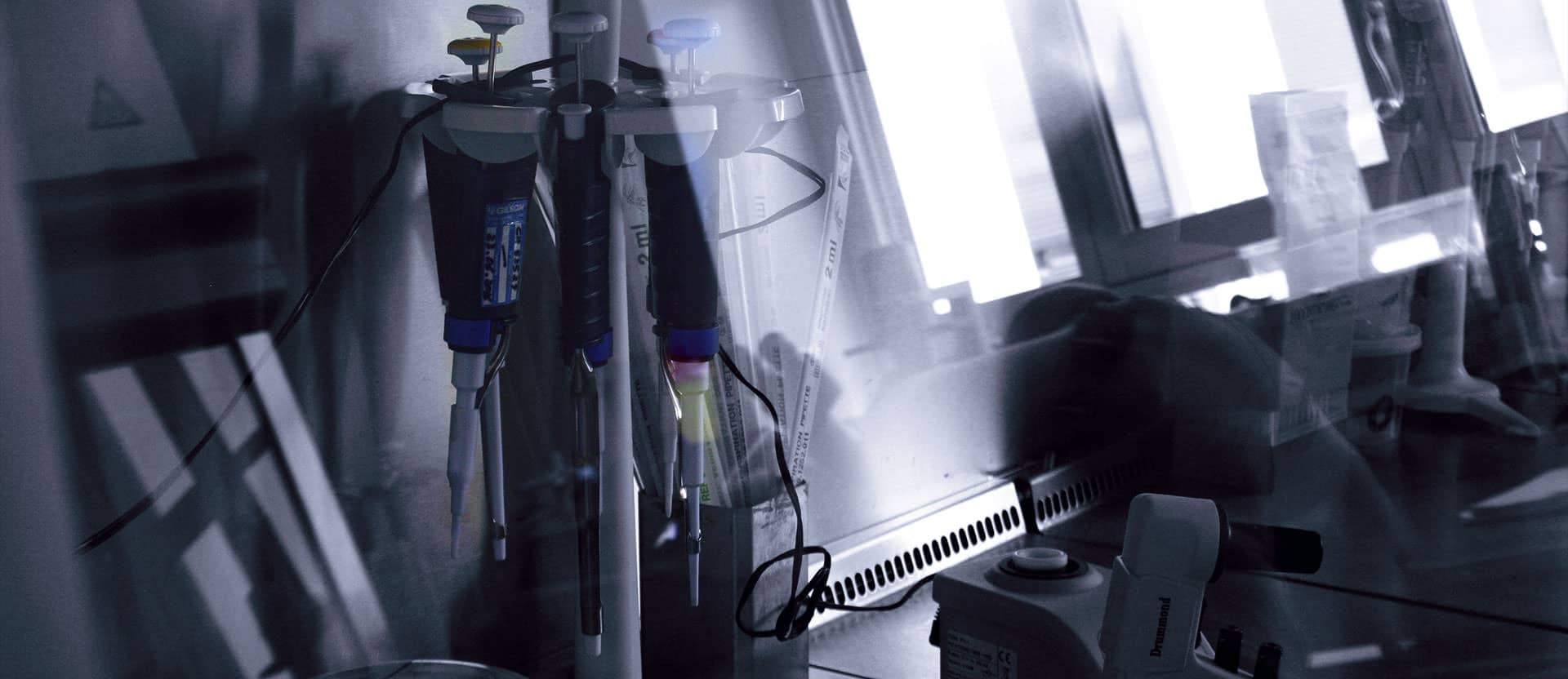 Preclinical services in oncology - Antineo