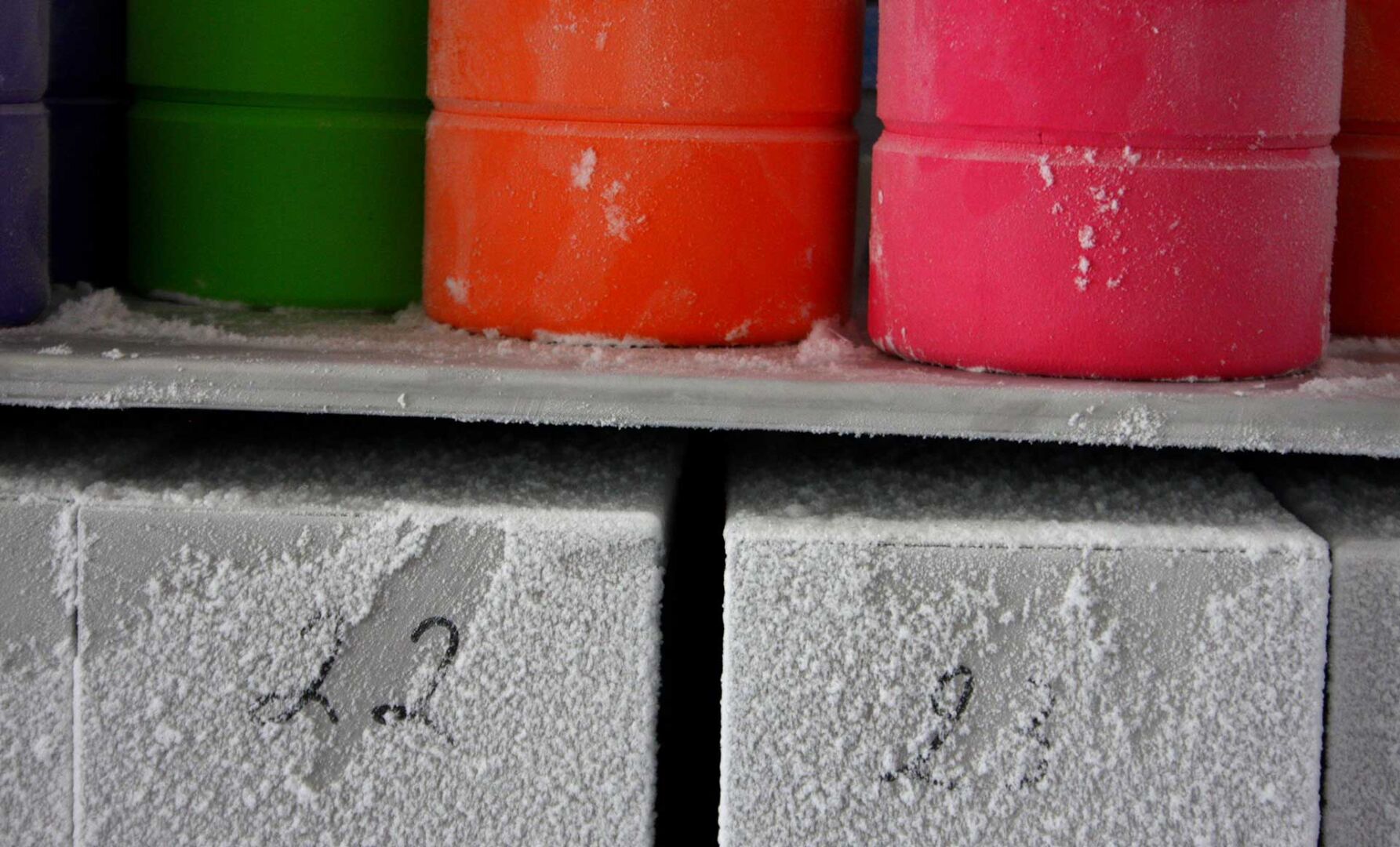 Syngeneic mice tumour models - Antineo