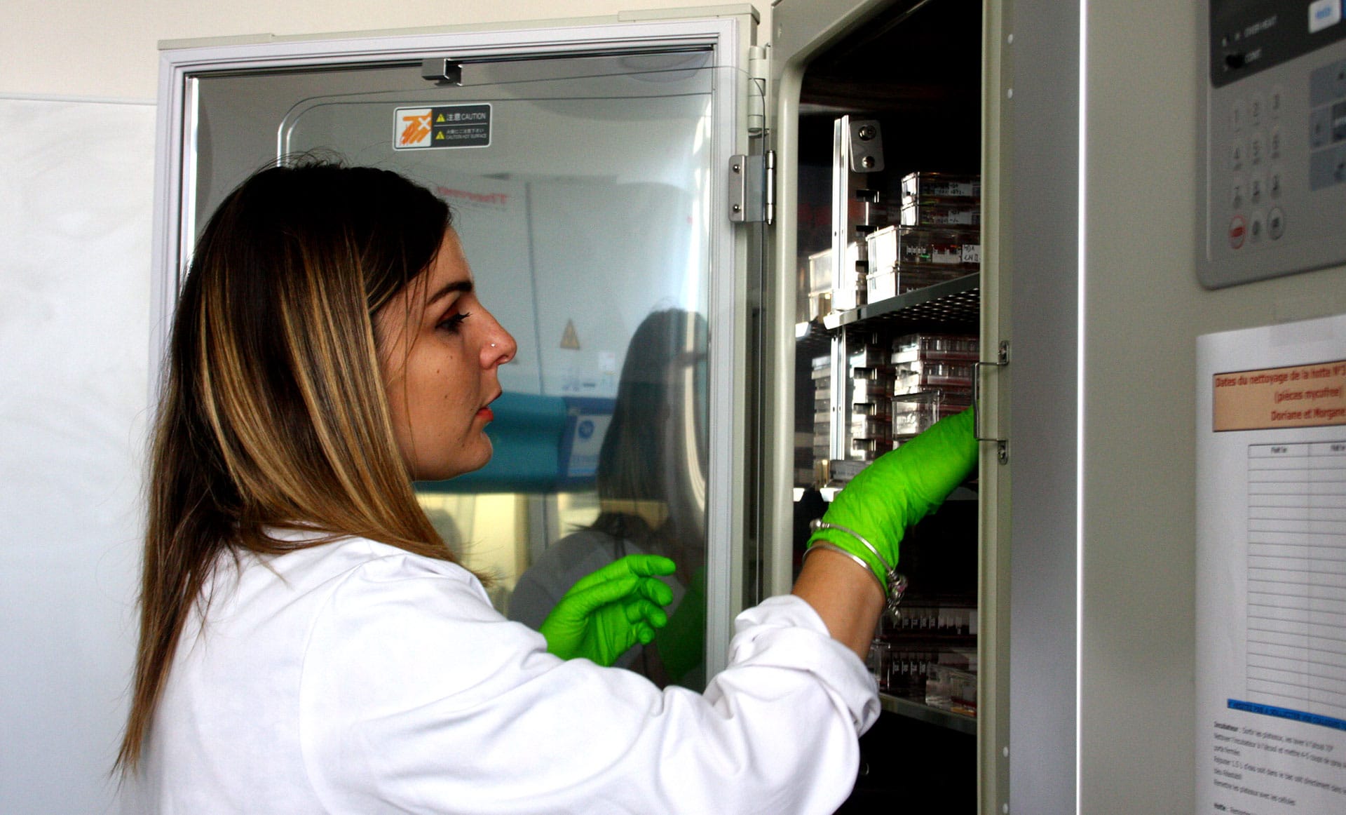 In Vitro Preclinical Services | Antineo