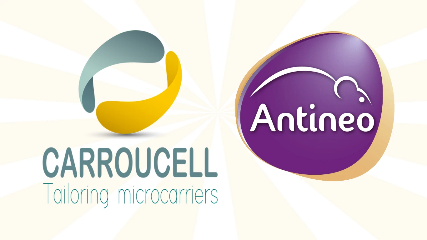 May 10, 2024 - Culture Of Adherent Cancer Cells On FlexiGrowTM ...